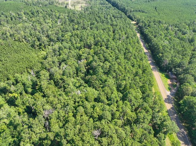 1 Highway 87 S, Milam, TX 75959 | MLS #81013