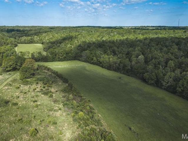 1 Highway FF, Edgar Springs, MO 65462