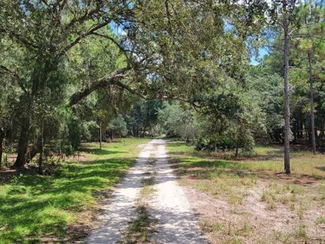 #1 Ii 11 65Ac NE 127th St, Fort Mc Coy, FL 32134