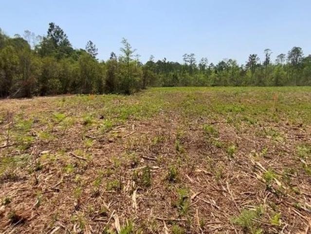 1 John Wells Rd, Hinesville, GA 31313