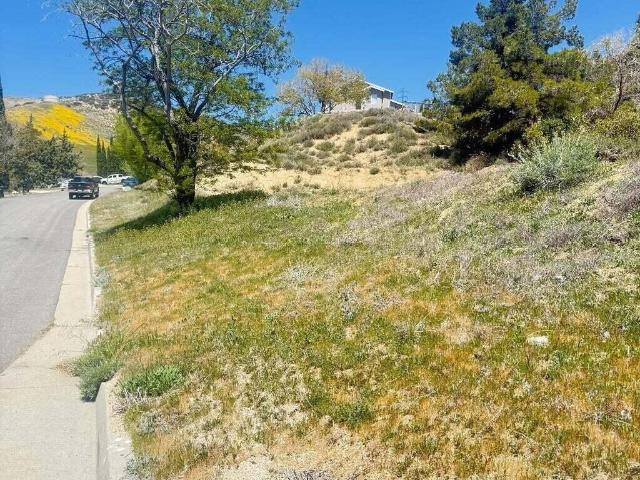 1 Johnson Rd, Lake Elizabeth, CA 93532 | MLS #25003