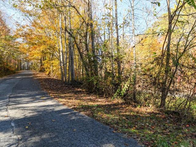 1 Jones Cove Rd, Cosby, TN 37722