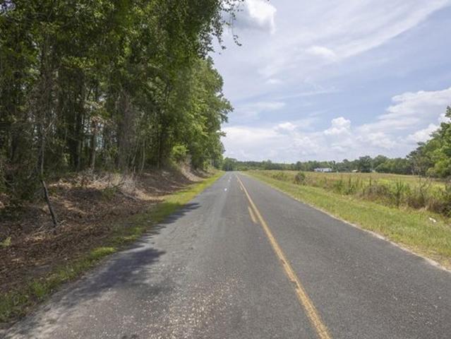 1 Joseph Lemon Lot 1 and Dingle Rd, Manning, SC 29102
