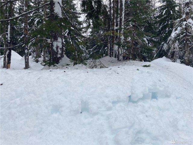 1 Kendall Pl, Snoqualmie Pass, WA 98068