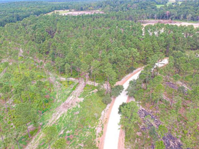 1 Lucky 13 Rd, Livingston, TX 77351 | MLS #76842