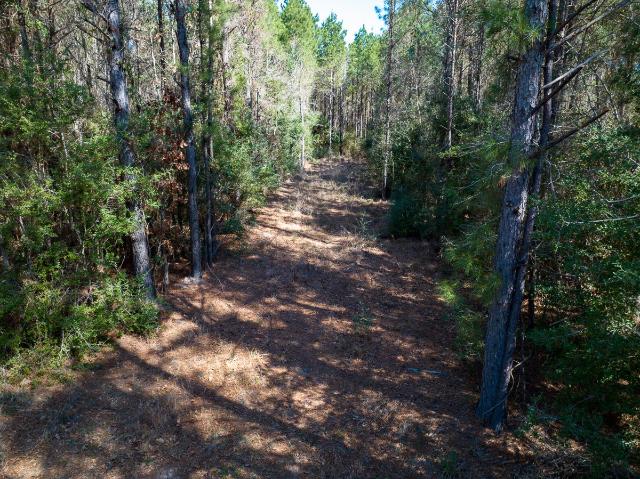 1 Lyons Cemetery Rd, Moscow, TX 75960 | MLS #43045 | Compass