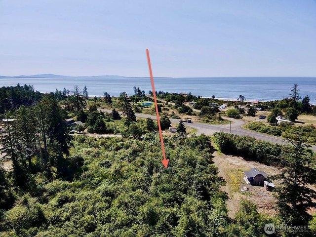 1 Larkin Lot TRACT50, Grayland, WA 98547