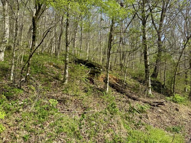 1 Lay Hollow Rd