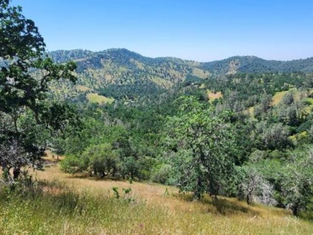 1 Lazy L Summit Ln, Coarsegold, CA 93614
