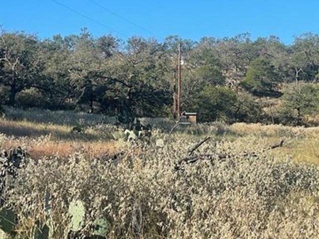 1 Little Willow Creek Rd, Mason, TX 76856