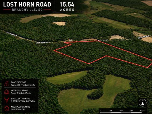 1 Lost Horn Road