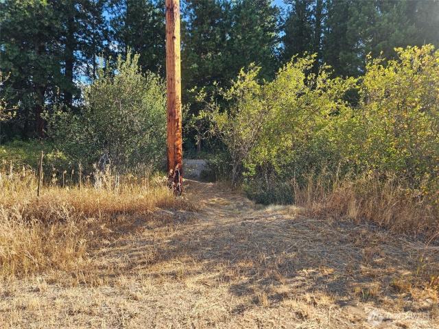 1 lot Little Creek Rd, Cle Elum, WA 98922 | MLS #2435 | Compass