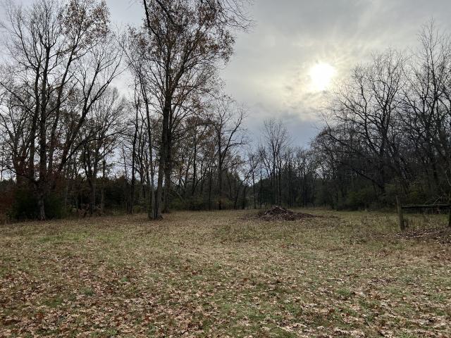 1 Pyles Rd, Chapel Hill, TN 37034 | MLS #2771