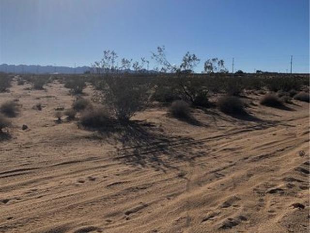 1 Pampas, Twentynine Palms, CA 92277