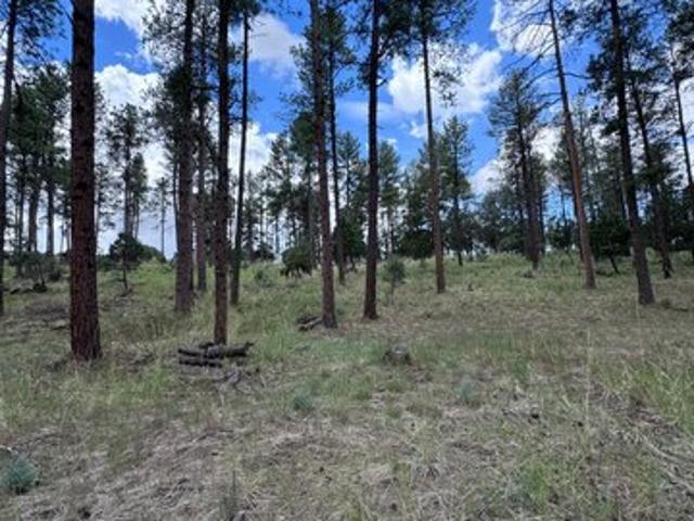 1 Paradise Vly, Timberon, NM 88350