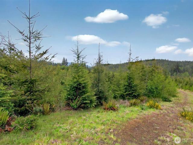 1 Parpala Rd, Unit 1, Naselle, WA 98638 | MLS #2376 | Compass