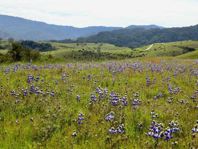 1 Peñon Peak Trail Lot 217