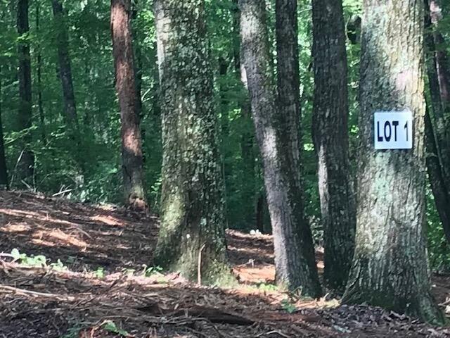 1 Piney Knob, Spring City, TN 37381