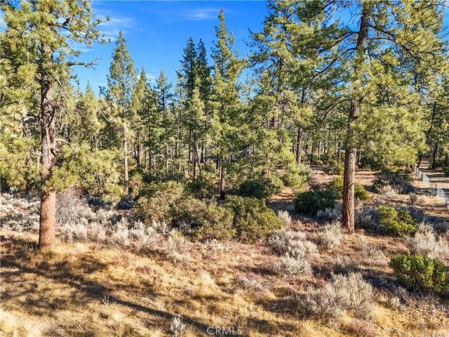 1 Pipe Creek Rd, Mountain Center, CA