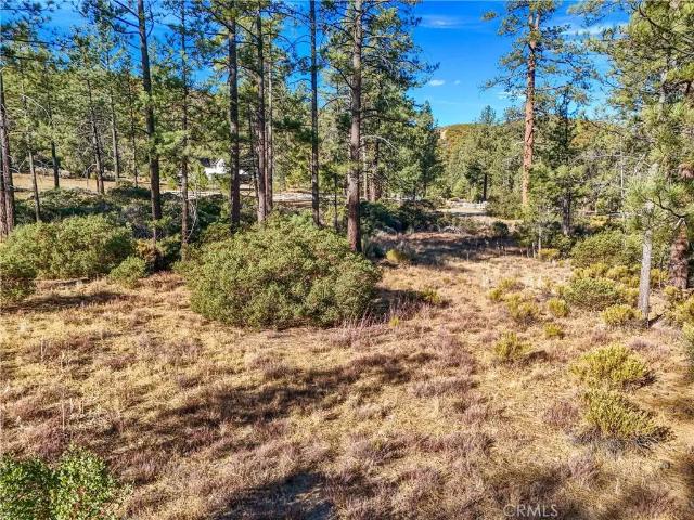 1 Pipe Creek Rd, Mountain Center, CA