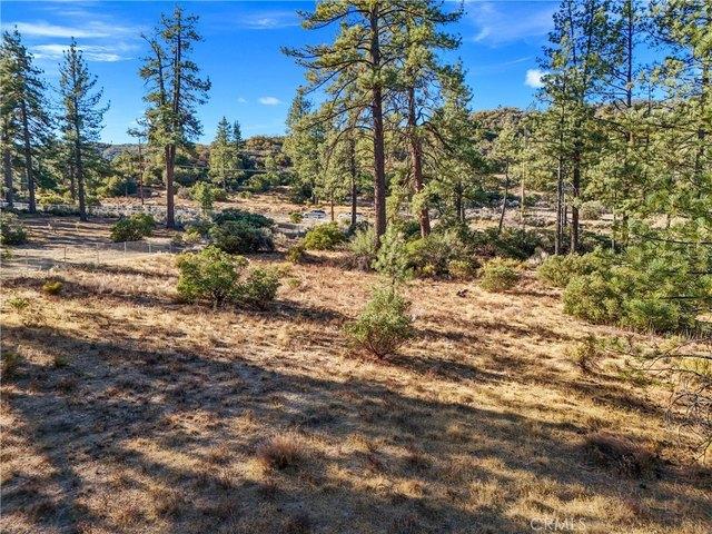 1 Pipe Creek Rd, Mountain Center, CA 92561