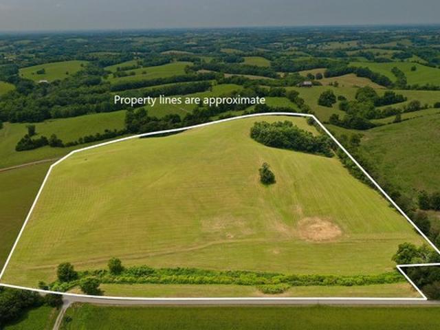 1 Plum Lick Rd, Paris, KY 40361