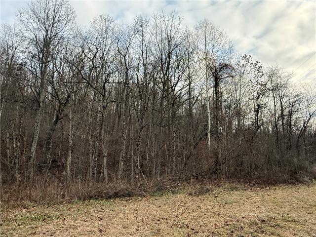 1 Polecat Hollow Rd