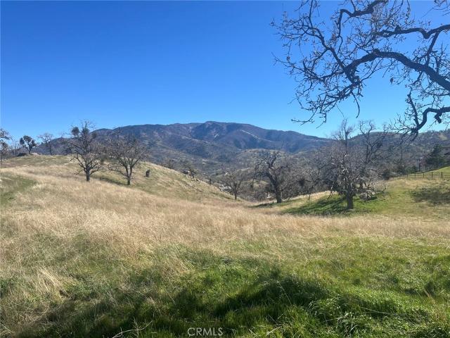 1 Poso, Tehachapi, CA 93561 | MLS #PW26037