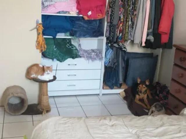 1 quarto, São Vicente, frente praia, vista mar, 290 mil