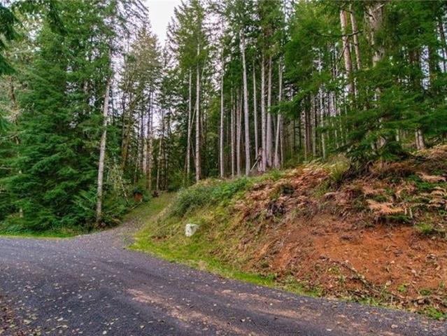1 Run Lot Bison, Longview, WA 98632