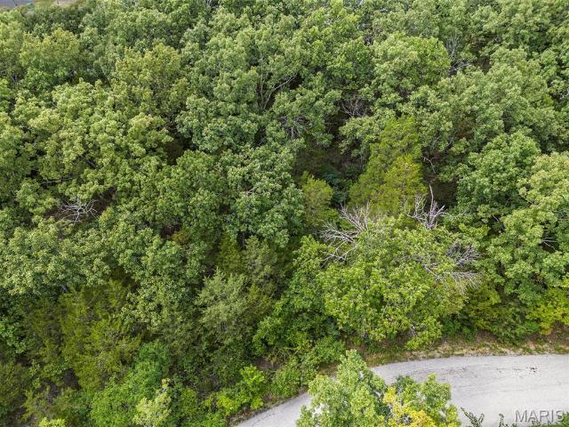 1 Rhett Butler Dr, Hillsboro, MO 63050 | MLS #25082 | Compass