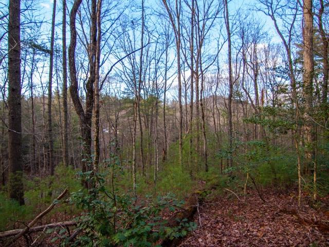 1 Rock Creek Ct, Cherry Log, GA 30522 | MLS #429959