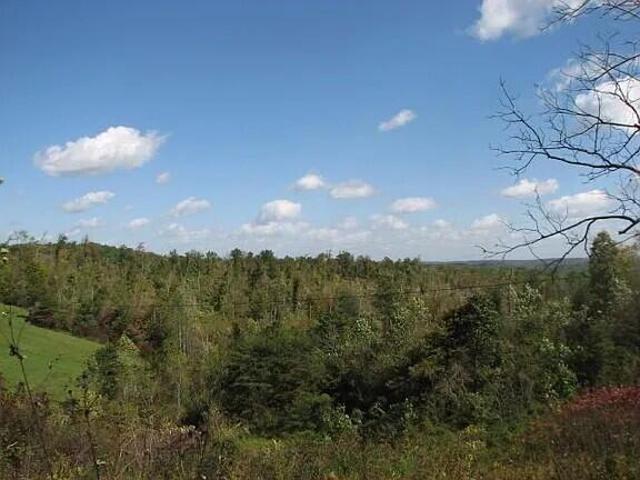 1 Rock Branch Road
