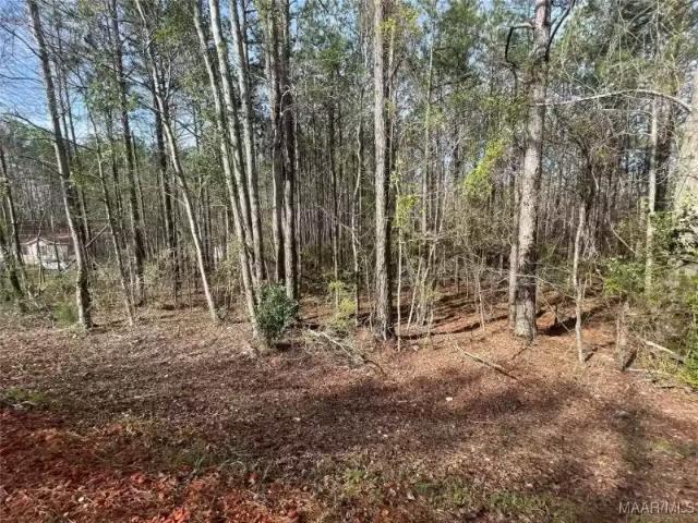1 ROBIN RD, ECLECTIC, AL 36024 Vacant Land For Sale MLS# 572419