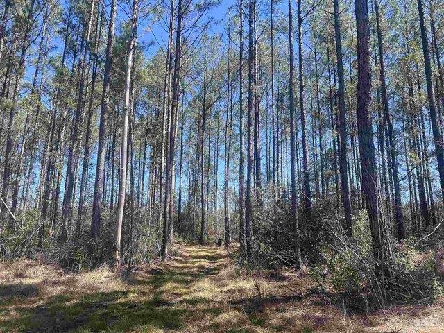1 Robinsonville Rd, Atmore, AL 36502