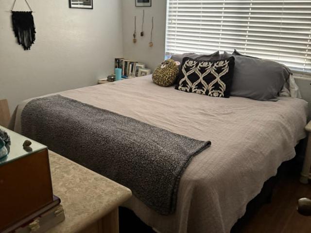 1 room in peaceful house