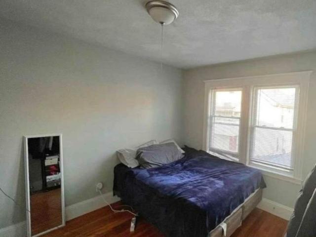 1 Room In Two Bedroom Apartment In Belmont MA