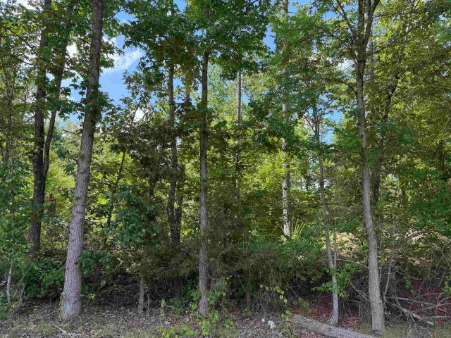 1 rose creek rd
