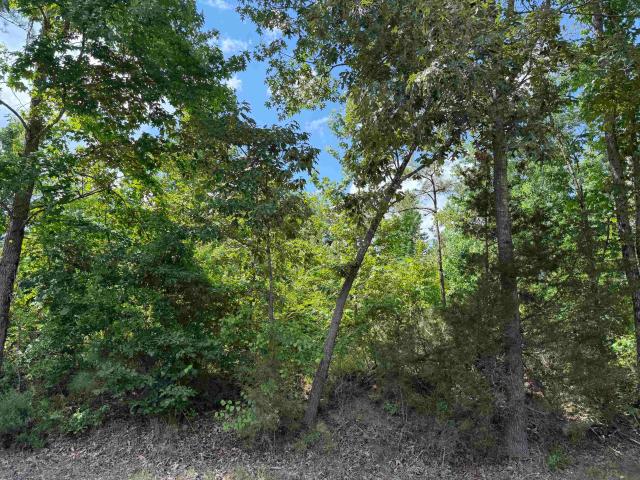 1 Rose Creek Rd, Hornsby, TN 38044 | MLS #10211