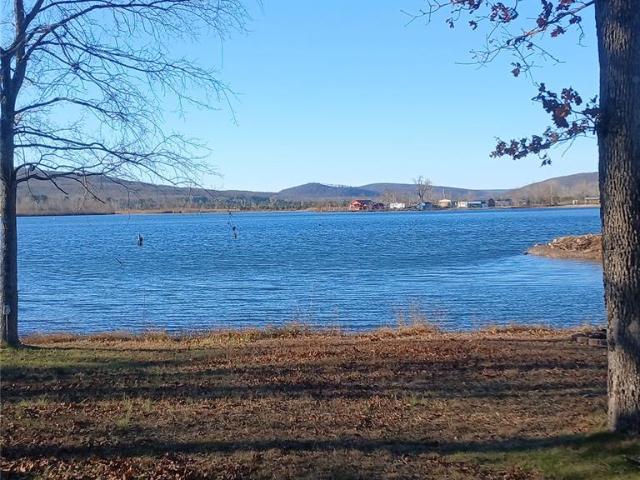 1 Stockton Ln, Ironton, MO 63650 | MLS #25082 | Compass