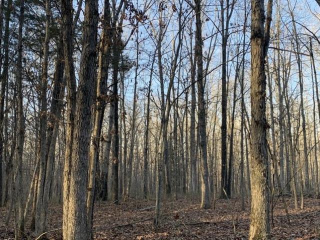1 Summertown Hwy, Summertown, TN 38483