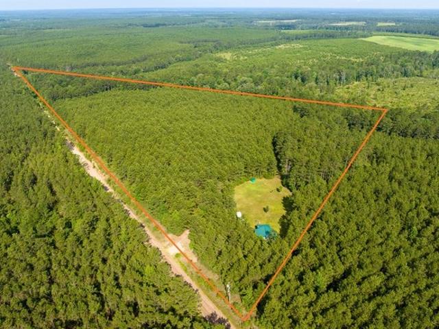 1 S Caney Rd, Groveton, TX 75845