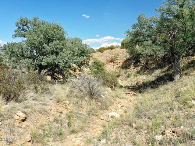 1 S Andalusian Way Unit 1, Hereford, AZ 85615