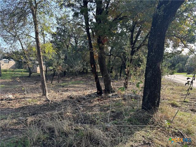 1 S Sherwood Dr, Belton, TX 76513 | MLS #595253 | Compass