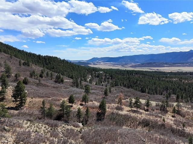 1 S Perry Park Rd, Sedalia, CO 80135 | MLS #2882