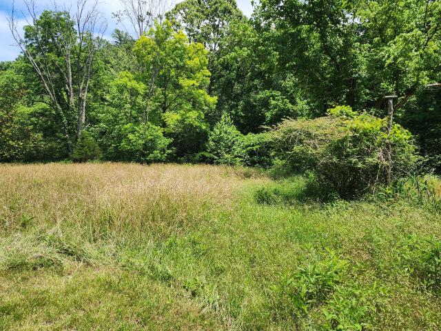 1 Scruggs Hollow Rd