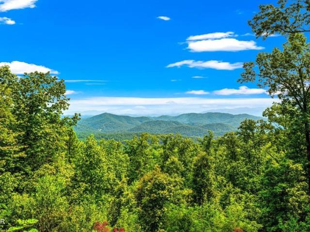 1 Shell Mountain Rd, Sevierville, TN 37876