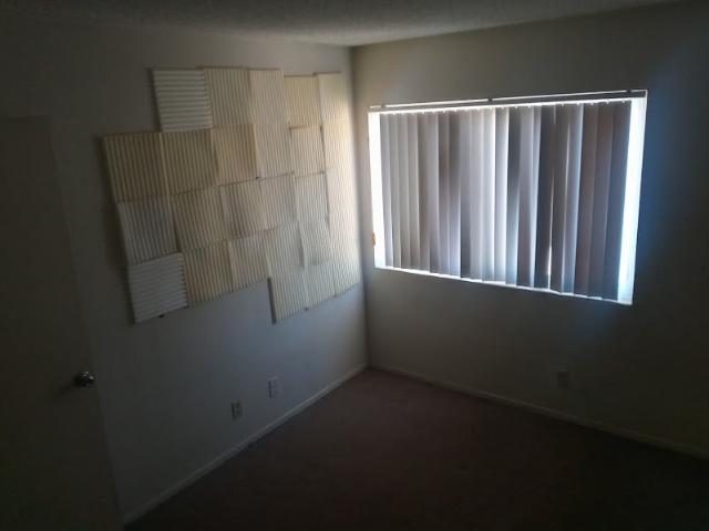 1 small dorm size room in 3 bdroom apt