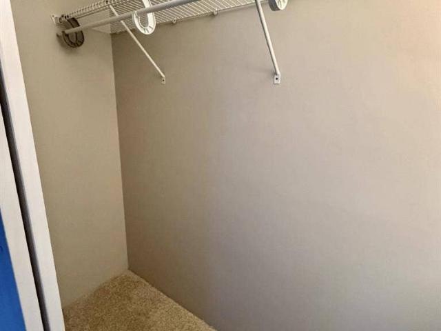 1 Spacious room