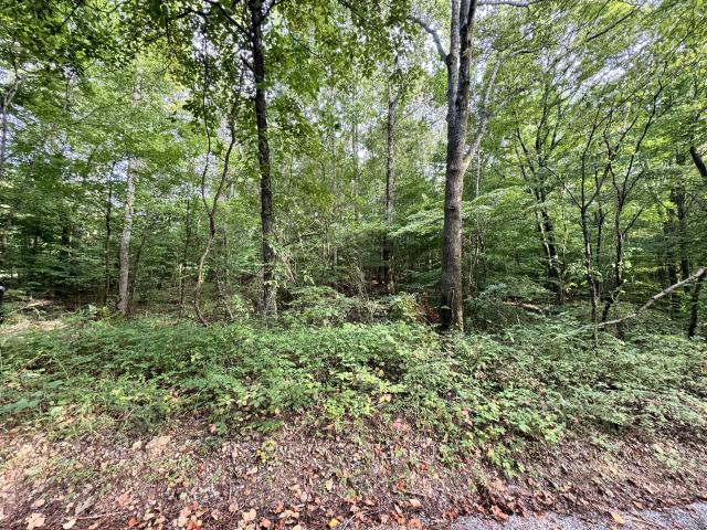 1 Tatum Lane SW